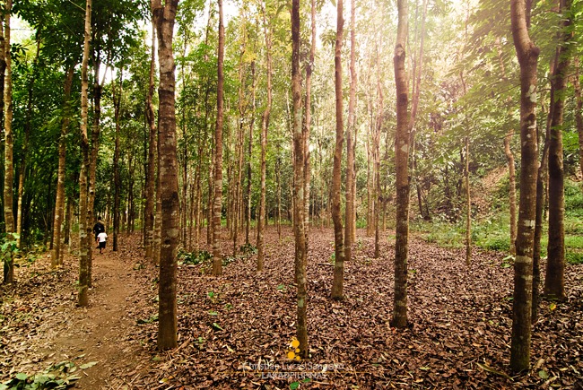 RIZAL | Chasing Wawa Dam's Waterfalls - Lakad Pilipinas